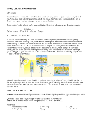 Floating Leaf Disk Photosynthesis Lab-3 - Senegar-Mitchell DATE___________PERIOD_______ Floating ...