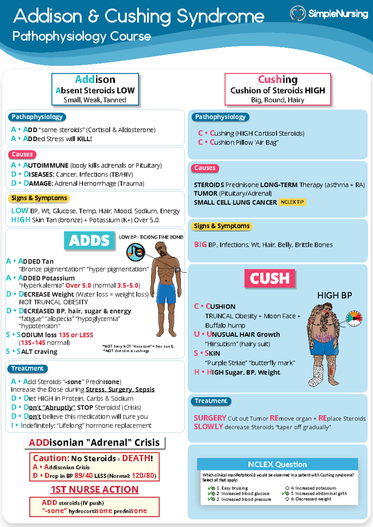 1 - Addison and Cushing - Addison & Cushing Syndrome Pathophysiology Course Pathophysiology ...