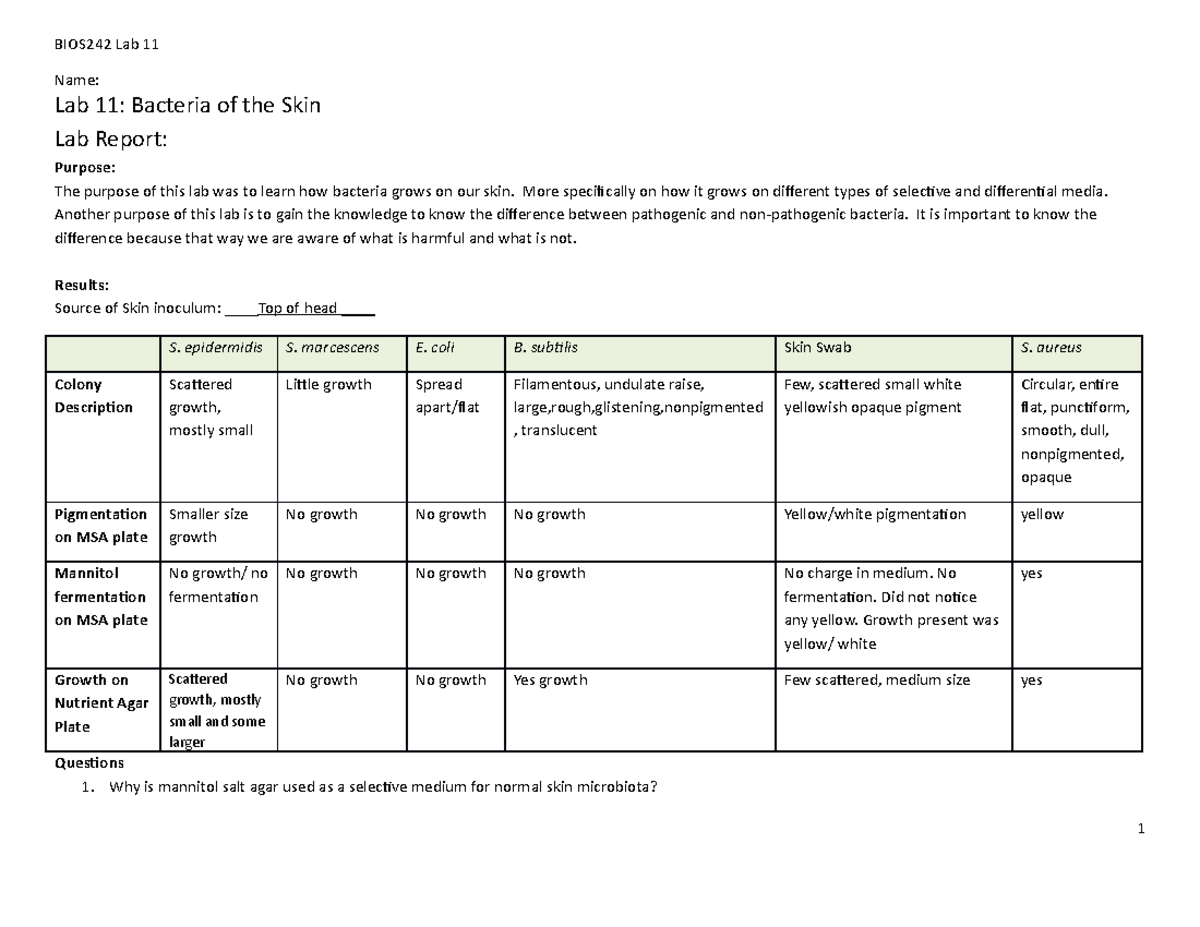 BIOS242 Week 6 Lab11 Skin Swab - BIOS242 Lab 11 Name: Lab 11: Bacteria of the Skin Lab Report ...