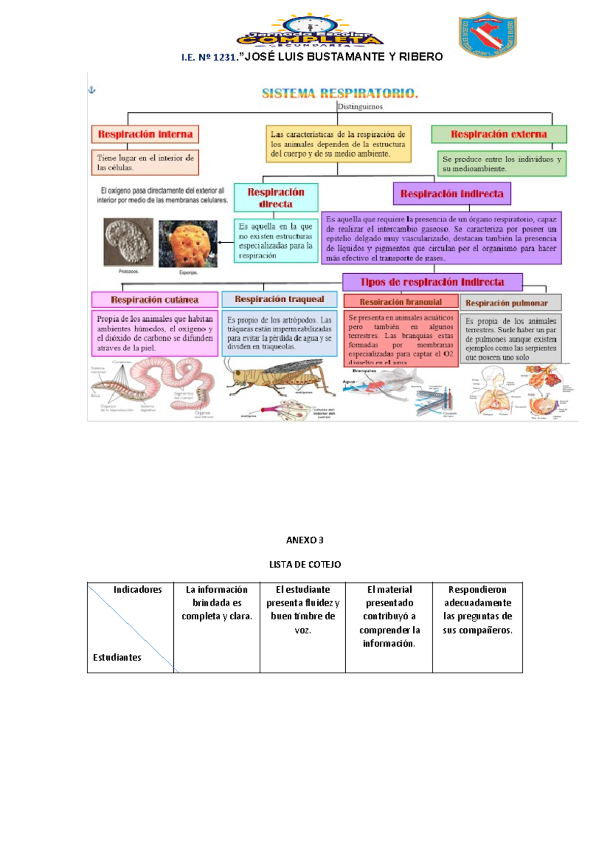 Sistema respiratorio animales essquema - Biología - I. Nº 1231.”JOSÉ ...