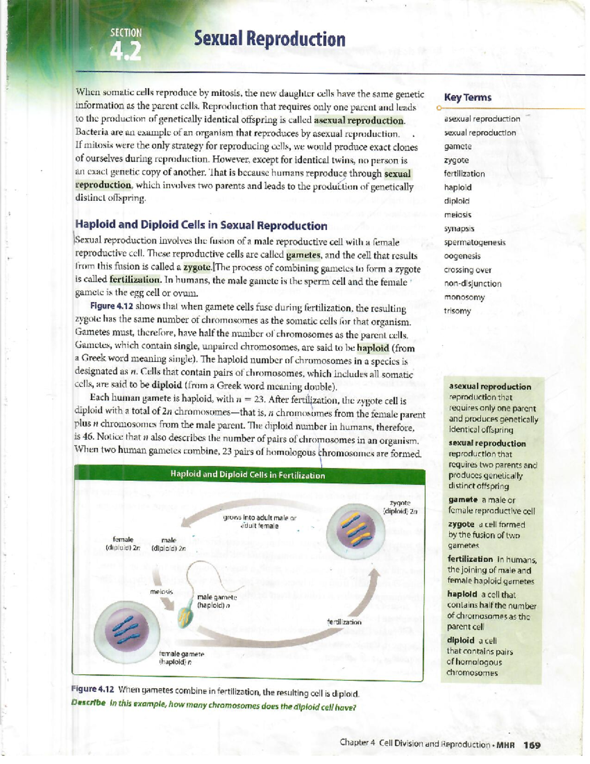 4.2 Sexual Reproduction - BIO101 - Studocu