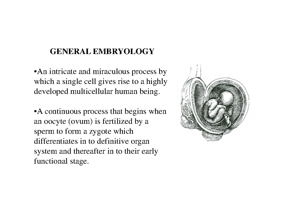 General embryology-1-up to gametogenesis - GENERAL EMBRYOLOGY •An ...