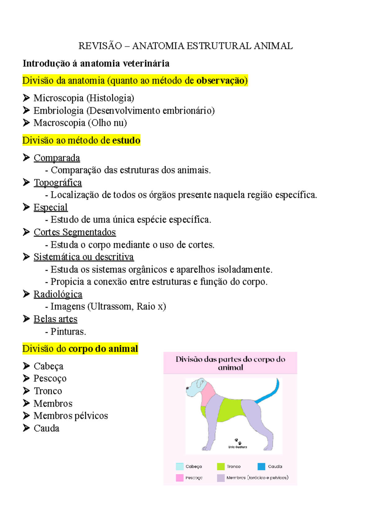 Revisão - Anatomia - medicina vet - REVISÃO – ANATOMIA ESTRUTURAL ...