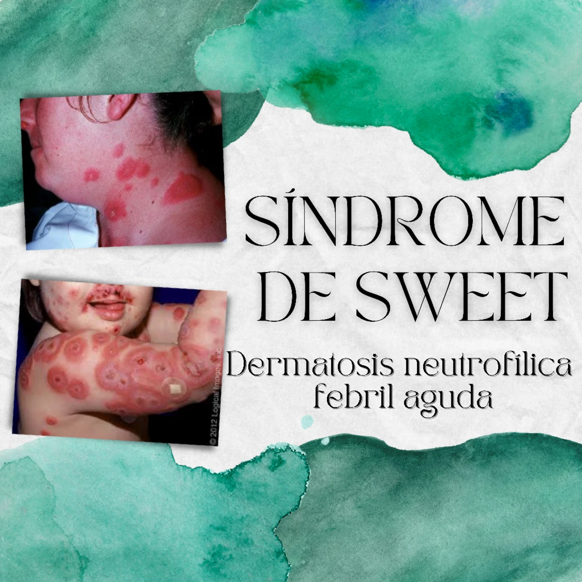Studocu - Resúmenes, apuntes y preparación de exámenes gratis