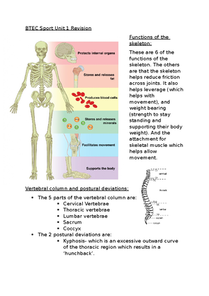 Btec-sport-revision-guide-skeletal-system-2019 - NAME: BTEC Revision Guide Skeletal System A1 ...