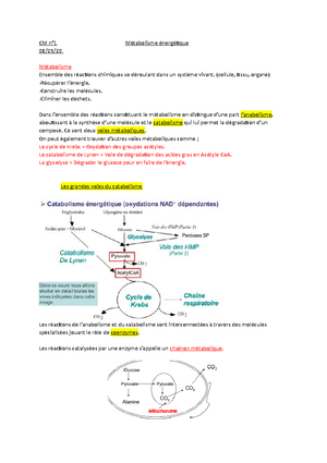 Cours 3- La chaîne respiratoire : mécanisme réactionnelle de la ...