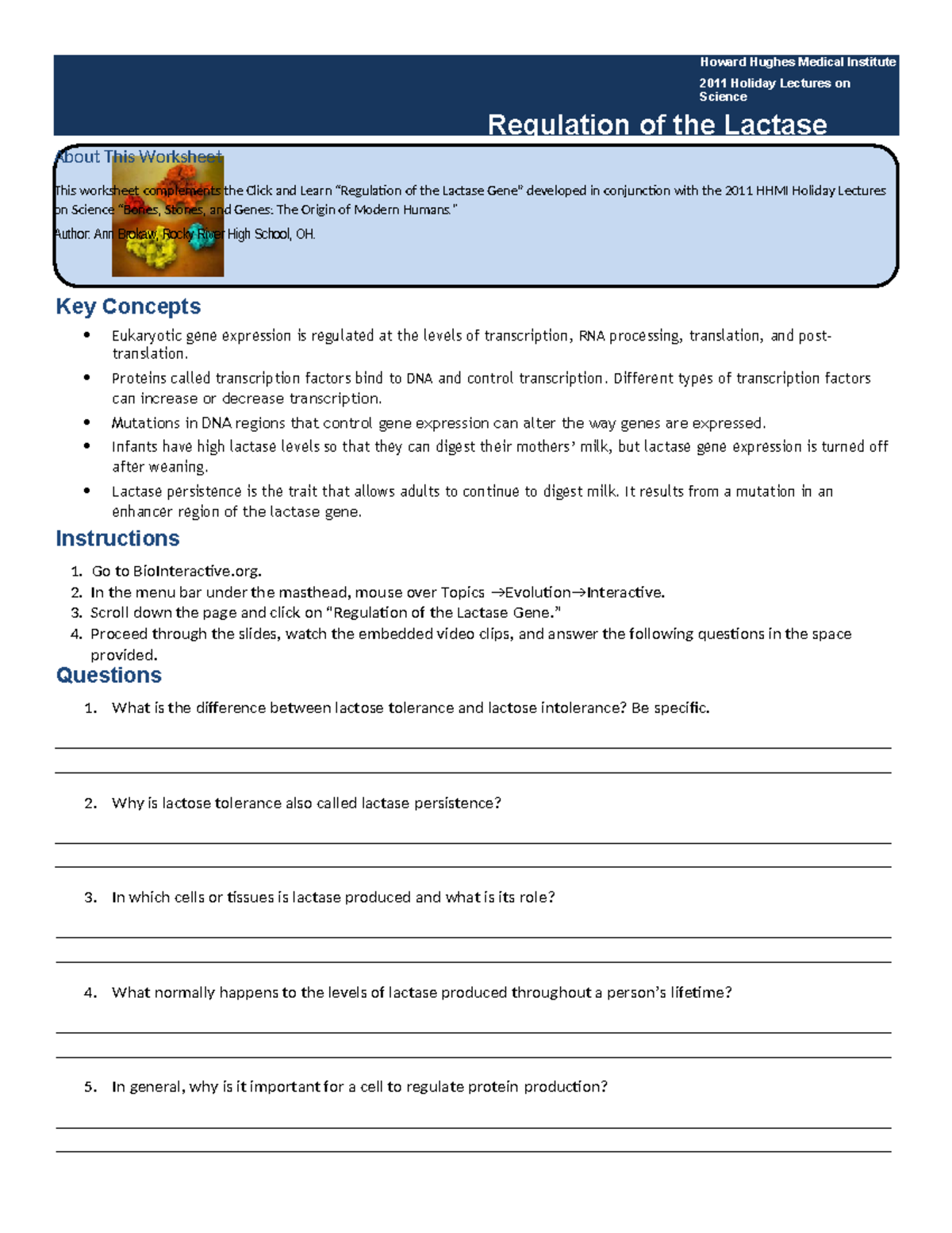 Worksheet 6 regulation lactase gene - Tagged - Key Concepts Eukaryotic ...