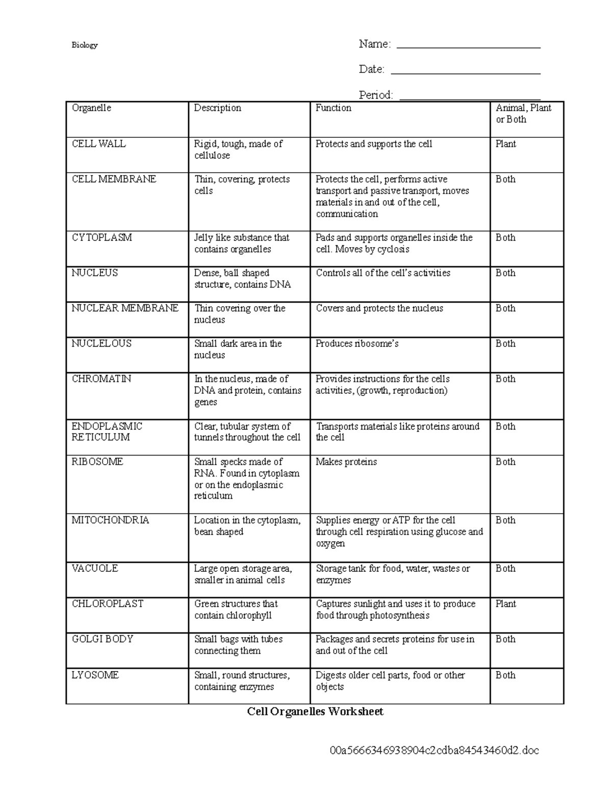 Cells And Organelles Worksheet