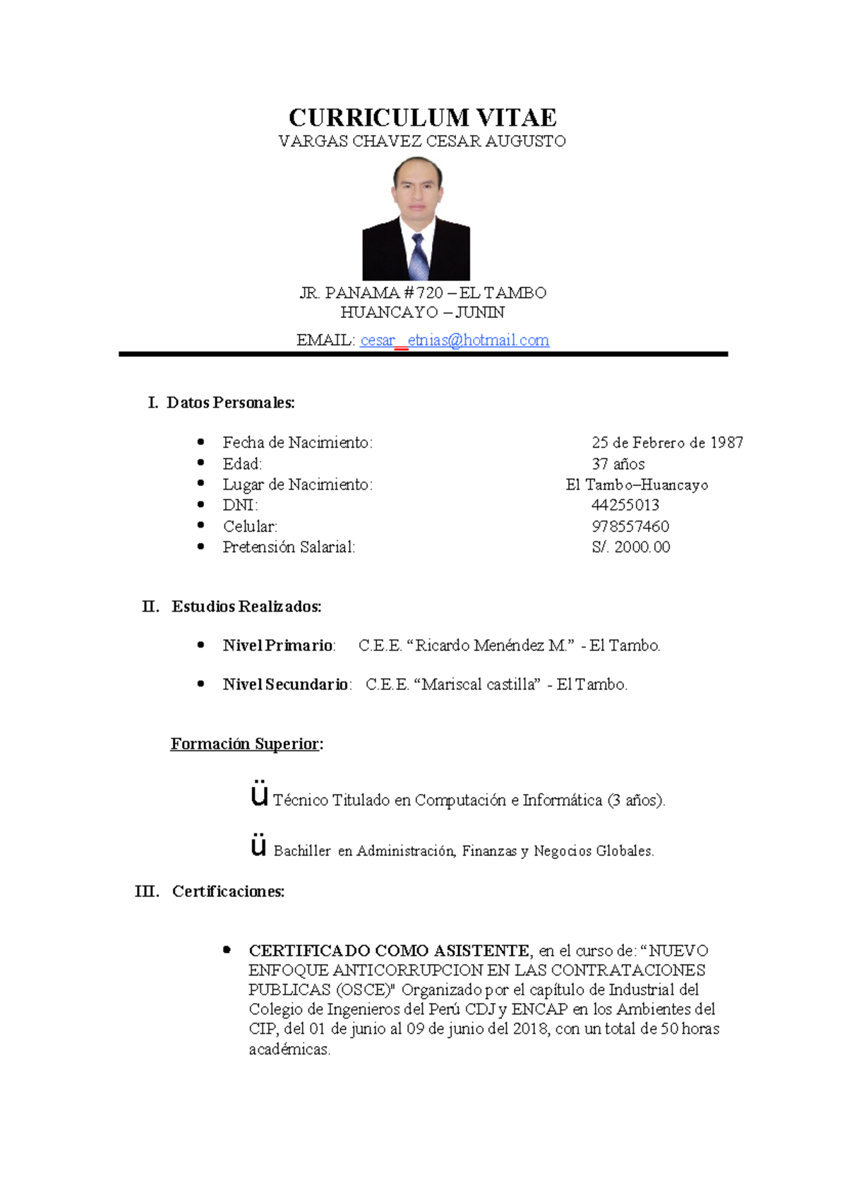 Cesar Vargas Completo - PLAN MINADO - CURRICULUM VITAE VARGAS CHAVEZ ...