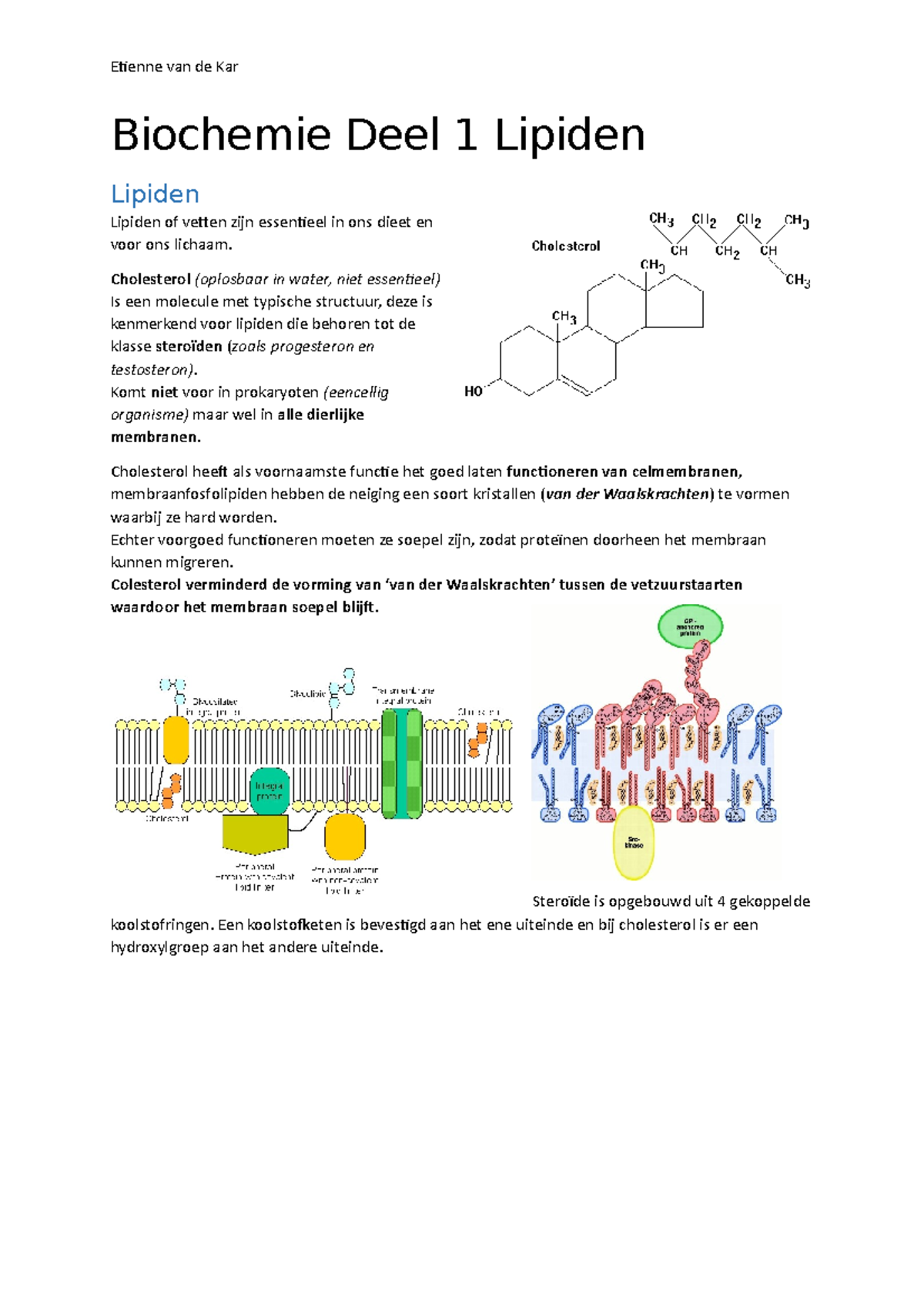 Biochemie Deel 1 Lipiden - Biochemie Deel 1 Lipiden Lipiden Lipiden of ...