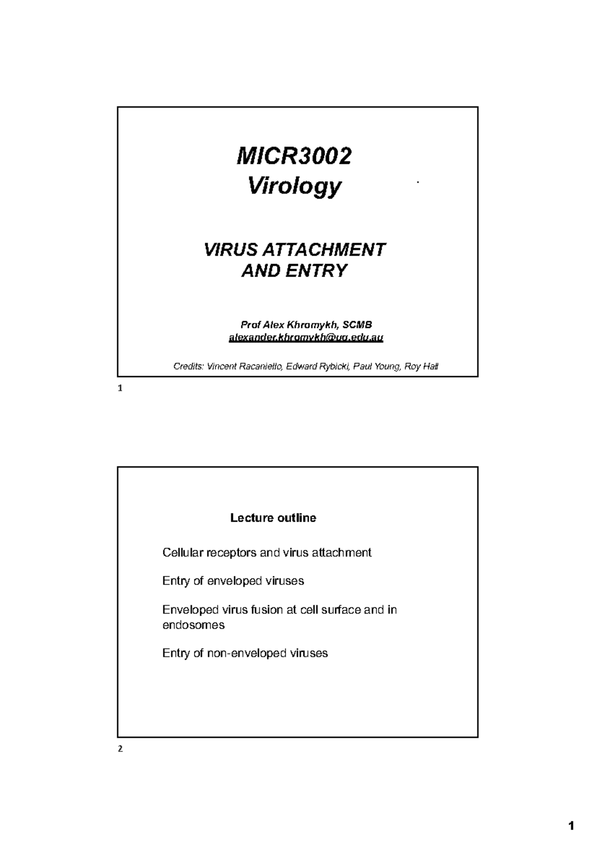 2024 MICR3002 Virus Attachment & Entry Khromykh 2 slides pp - VIRUS ...