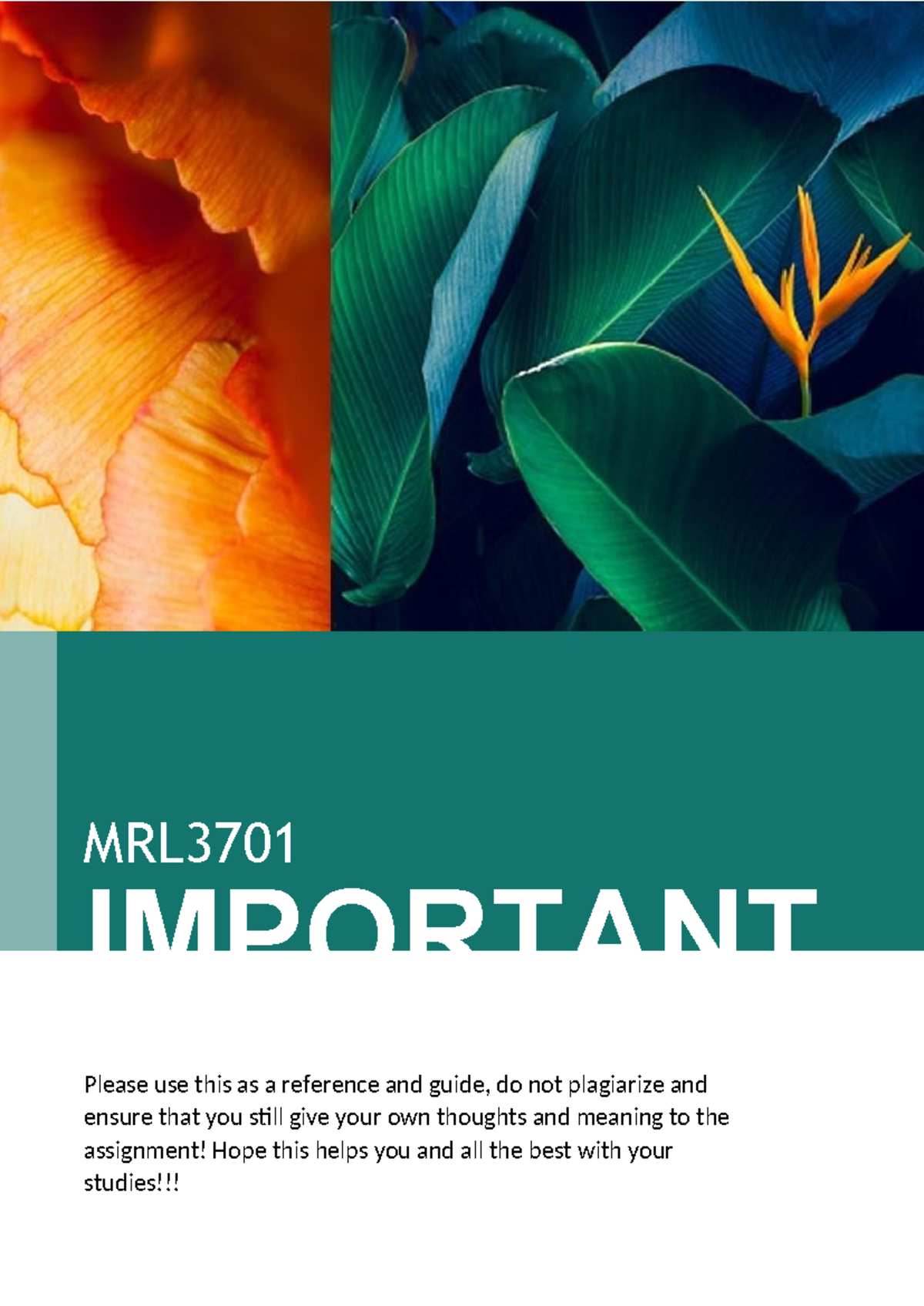 MRL3701 Assignment 1 - FBGFBGF - MRL IMPORTANT Please use this as a ...