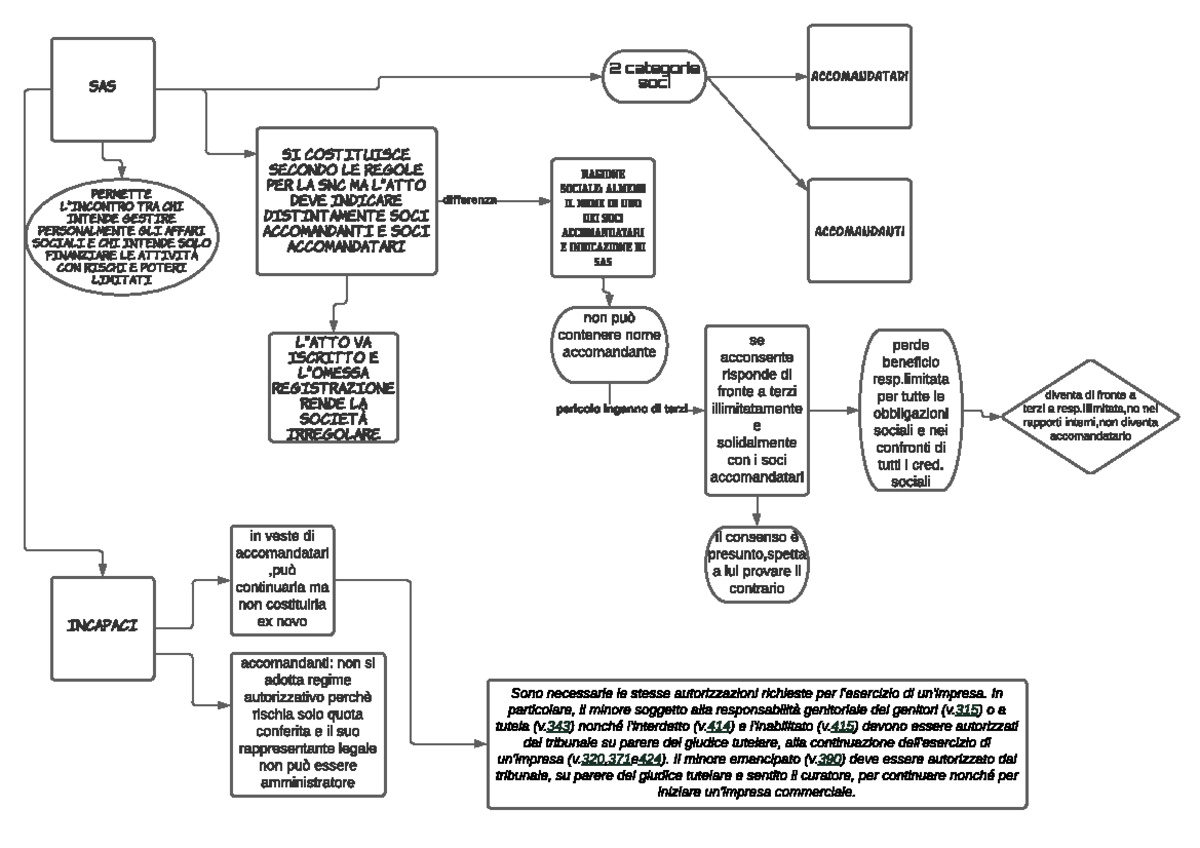 Sas - schema - s as 2 c a t e g o r ie s o c i accomandat ar i ...