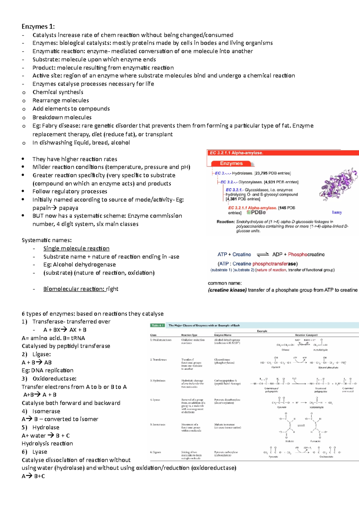 Introductory to Enzymes- Summary and Notes - BMOL3402 - MQ - Studocu