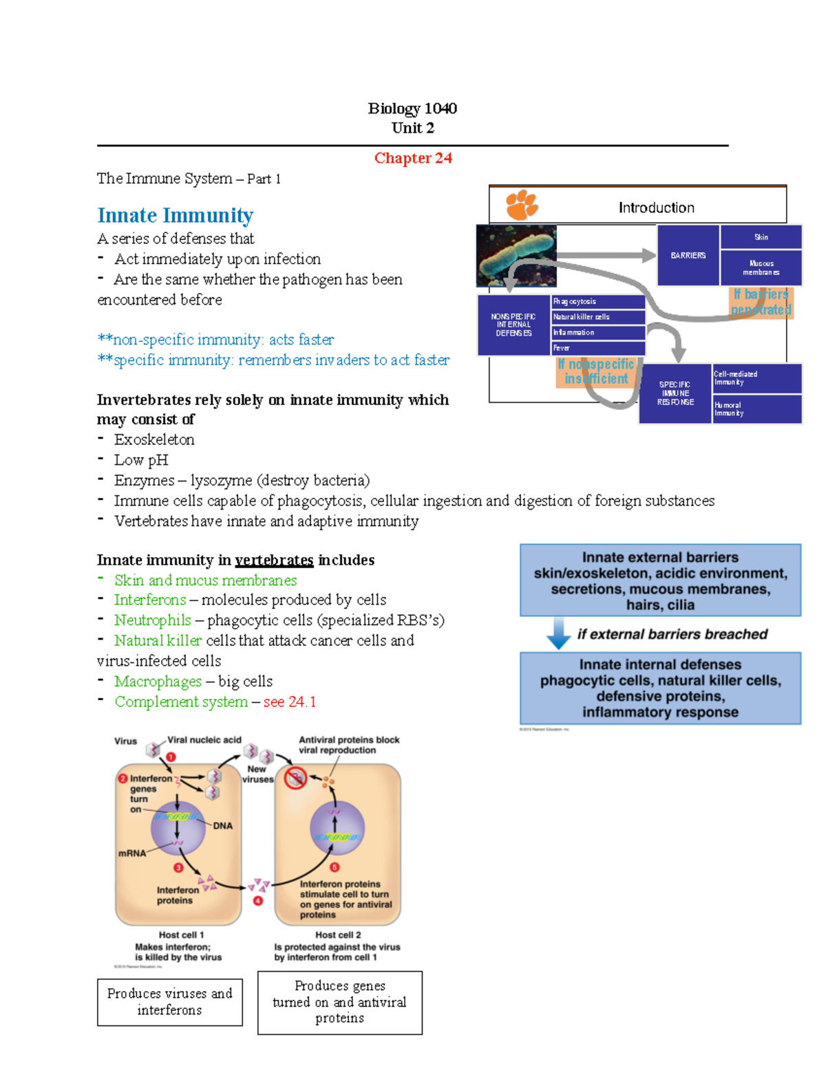 Biology 1040 Unit 2 part 1 - Biology 1040 Unit 2 Chapter 24 The Immune ...