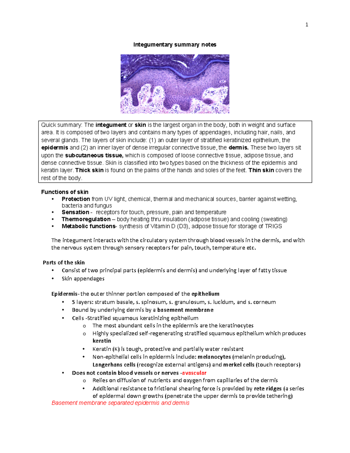 Integumentary notes for lecture - Integumentary summary notes Quick ...
