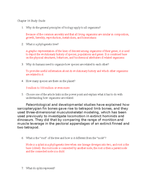 Preschool Mod3 H2 practices-checklist - Pyramid Model Practices ...