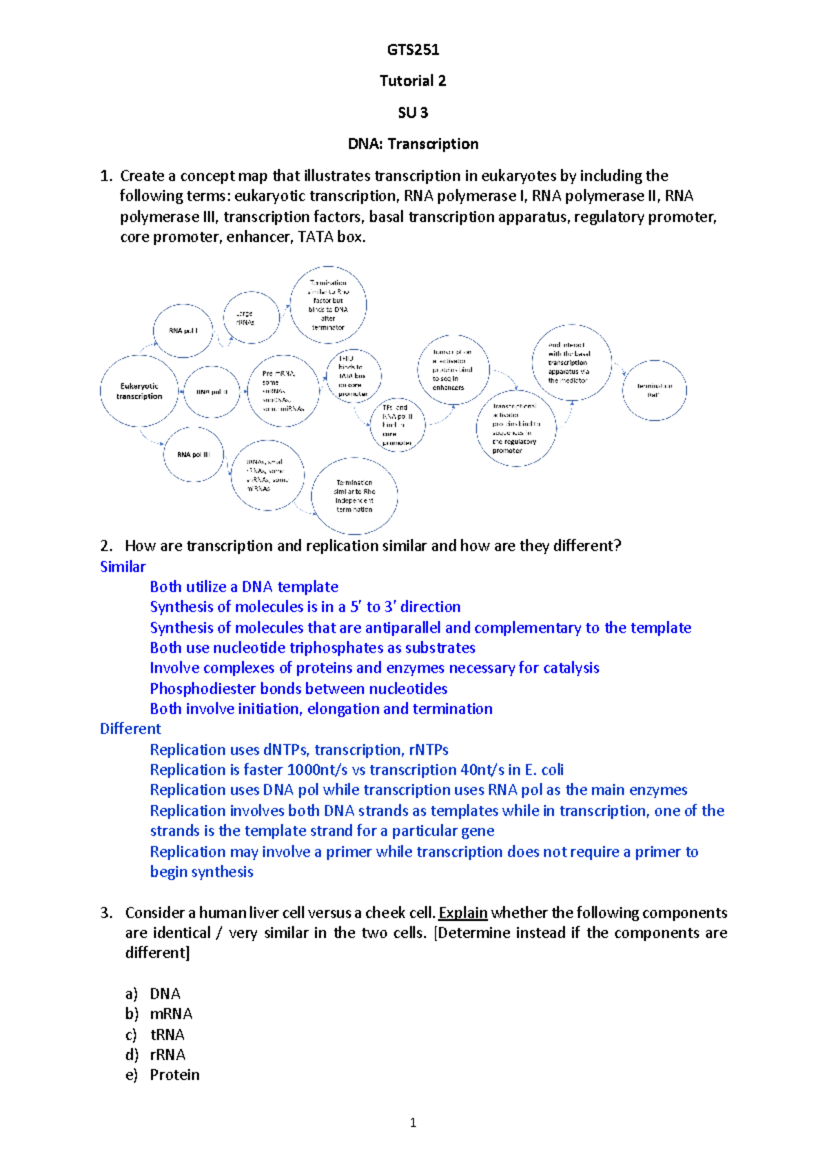 Tutorial 2 2023 MEMO - GTS Tutorial 2 SU 3 DNA: Transcription Create a ...