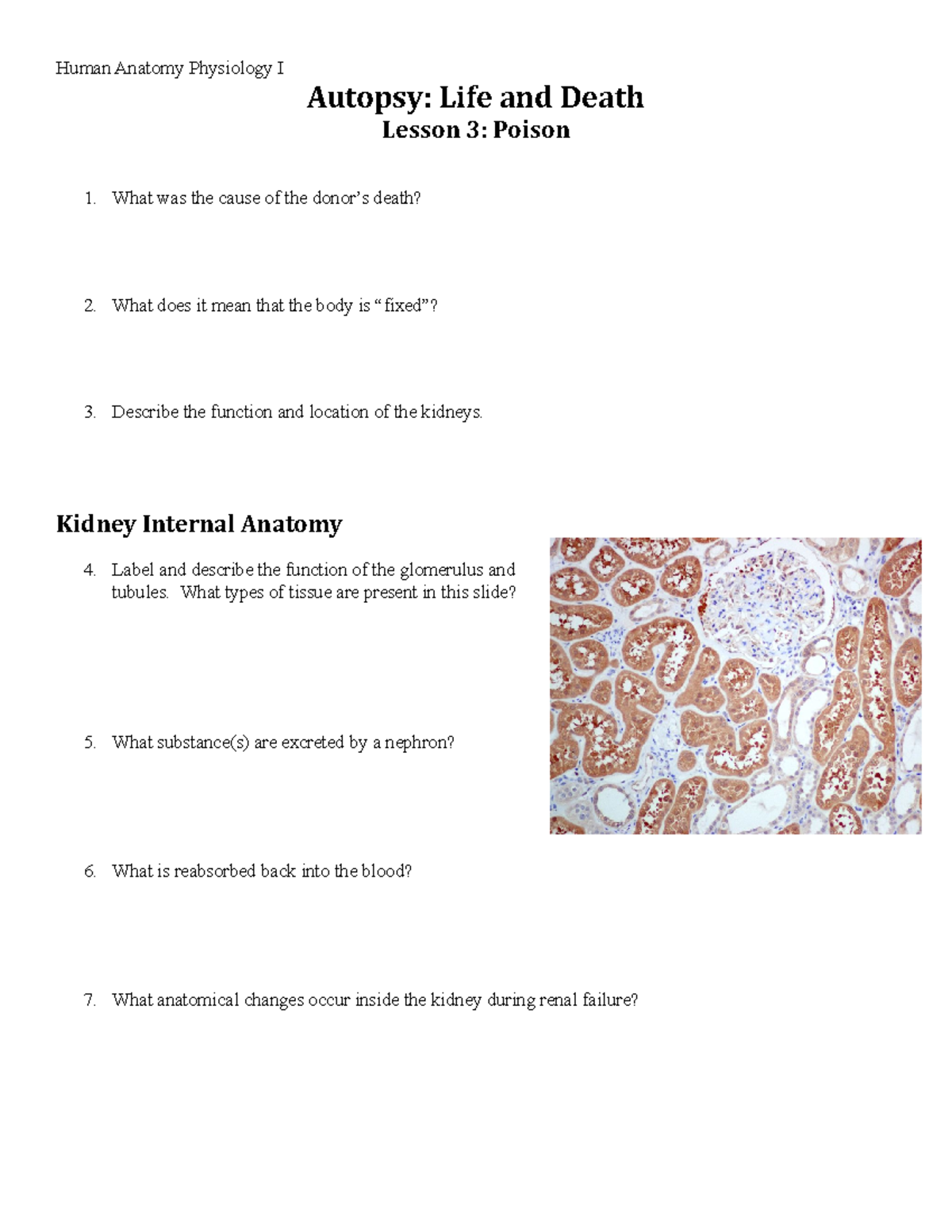 Poison - This is coursework for Human Anatomy Physiology I. - Human ...