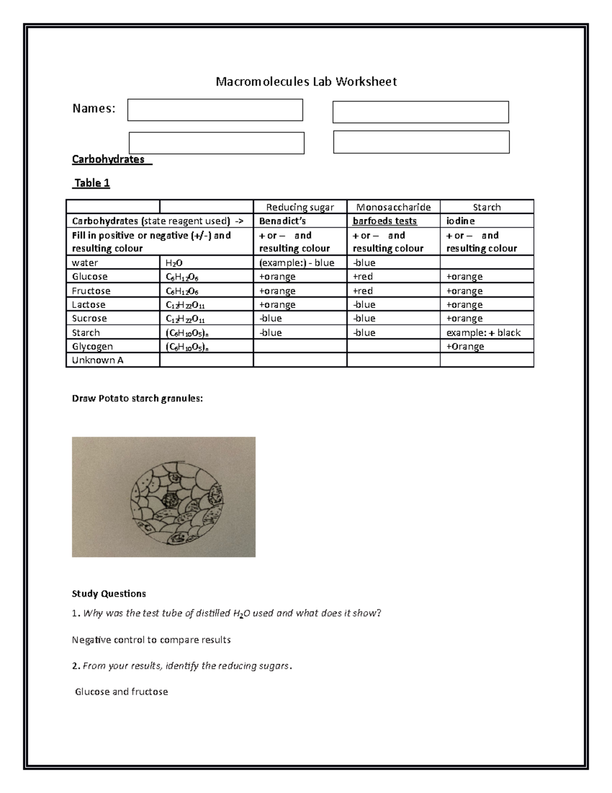 Macromolecules Lab 3 Worksheet - Macromolecules Lab Worksheet Names ...