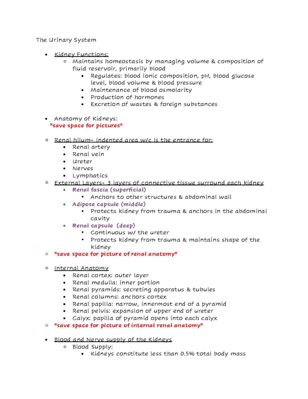 Urinary system - Learning objectives - NURS 207 - U of S - Studocu