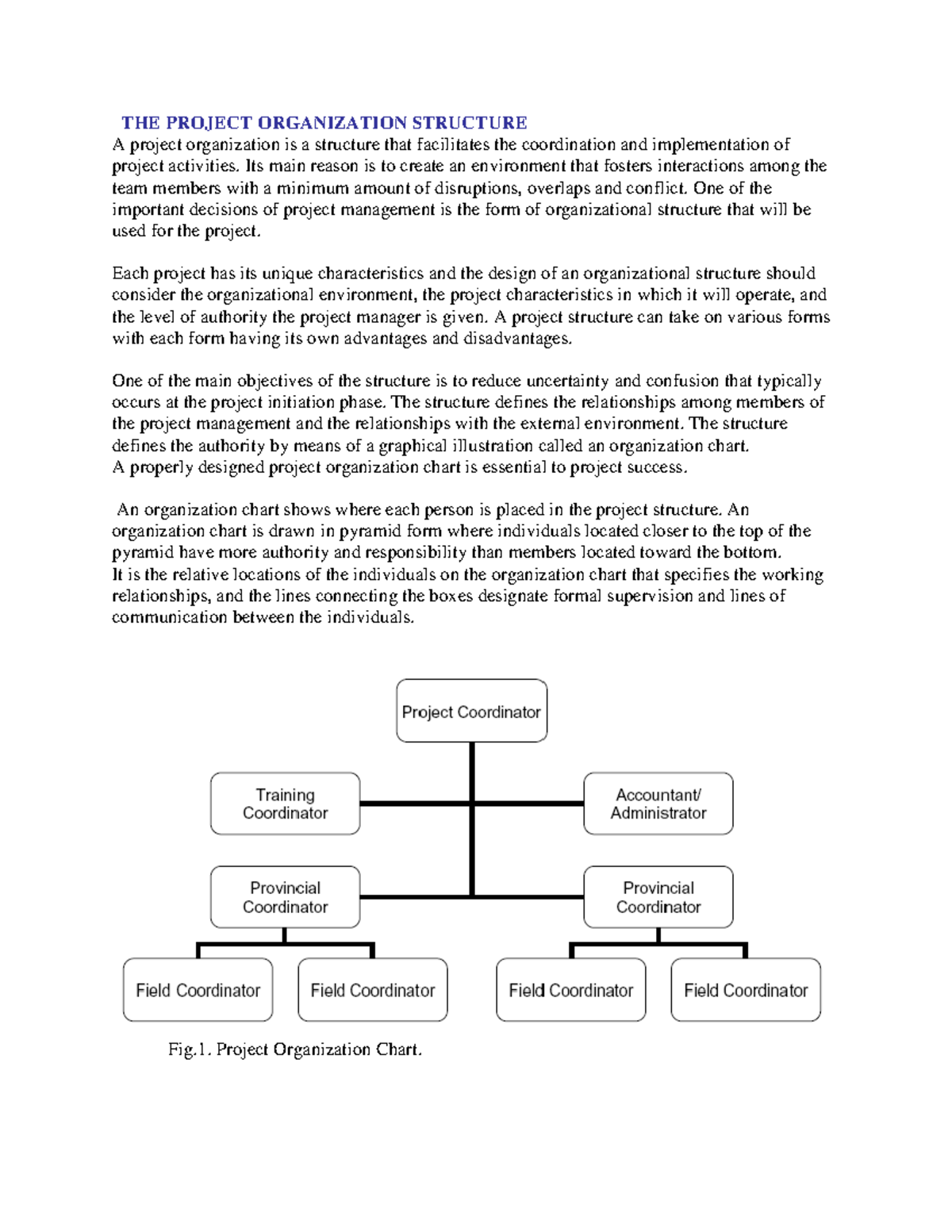 THE Project Organization Structure - THE PROJECT ORGANIZATION STRUCTURE ...