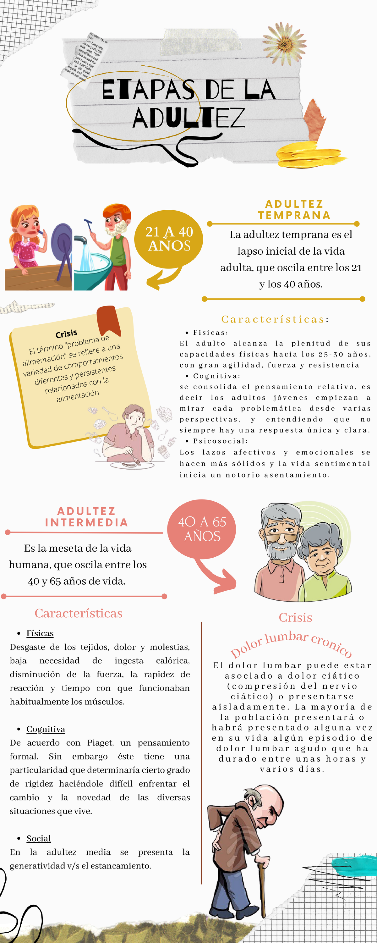 Etapas de la Adultez - desarrollo contemporaneo - Studocu