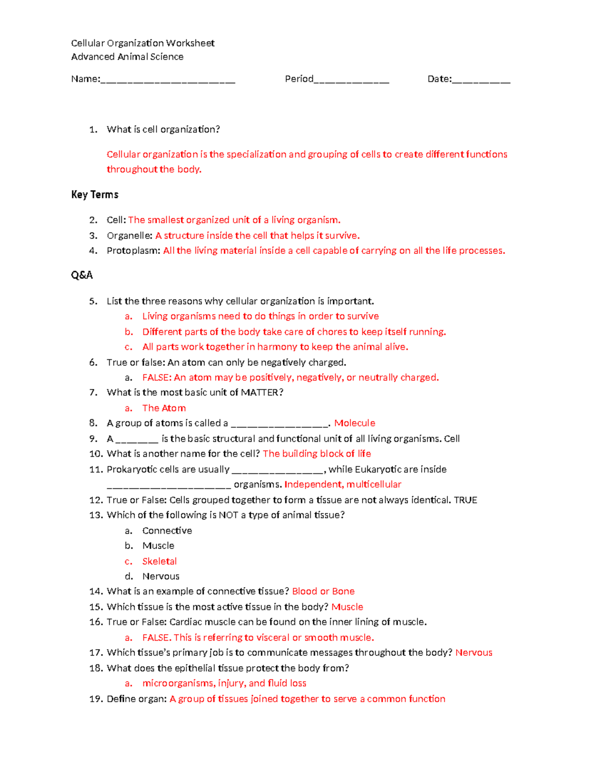 Cell Organization Worksheet - Cellular Organization Worksheet Advanced ...