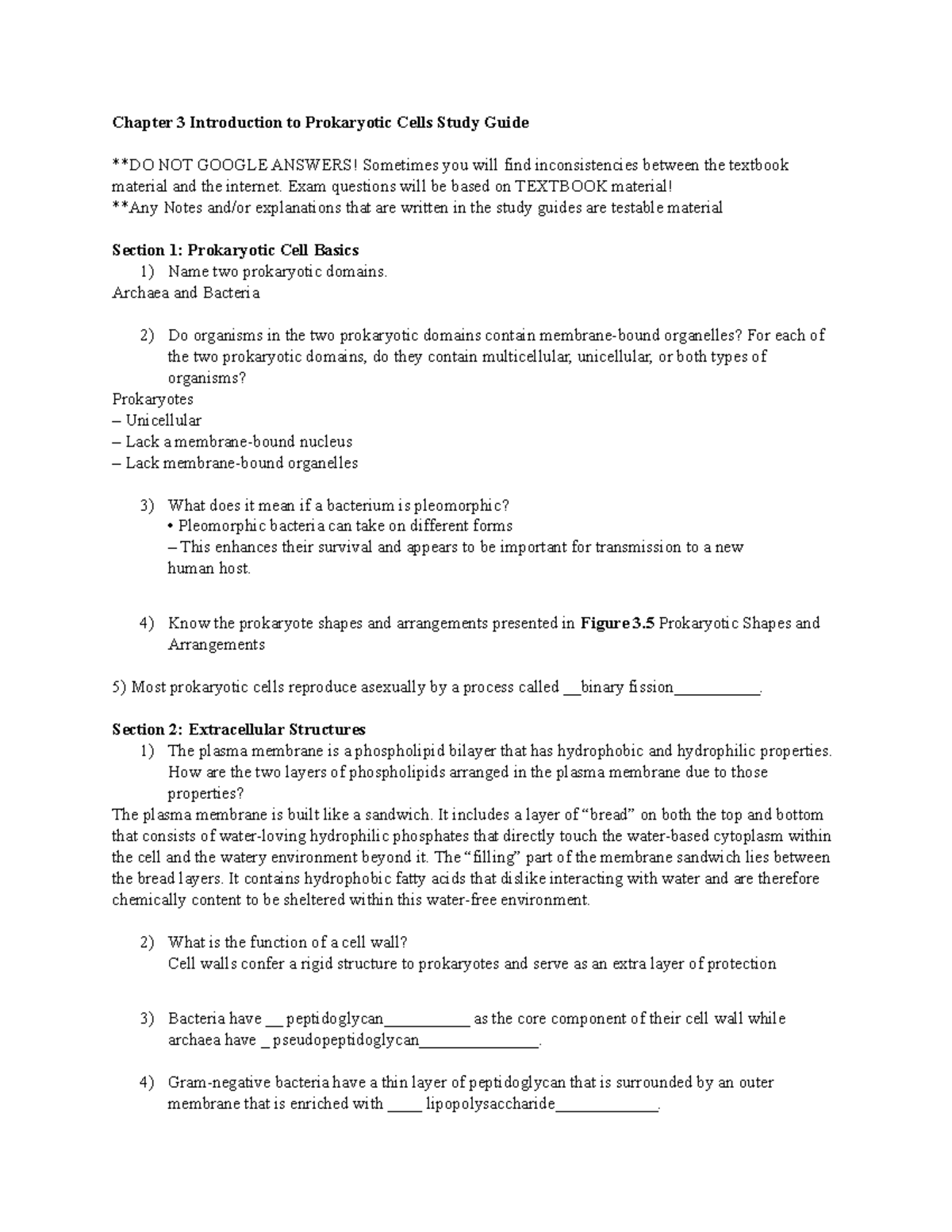 Chapter 3 Introduction to Prokaryotic Cells Study Guide Spring 2023 ...