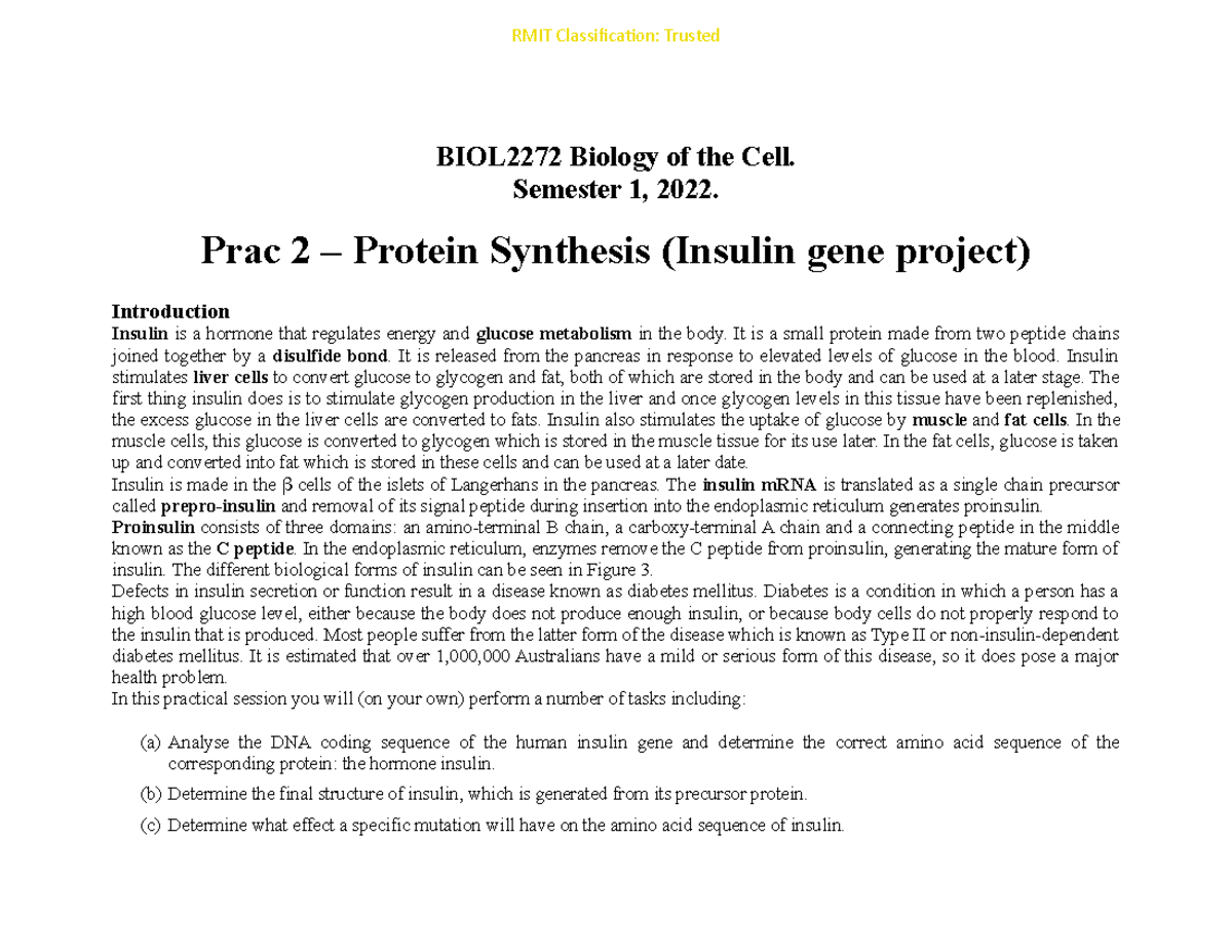 Prac 2 Protein Synthesis 2022 - BIOL2272 Biology of the Cell. Semester ...