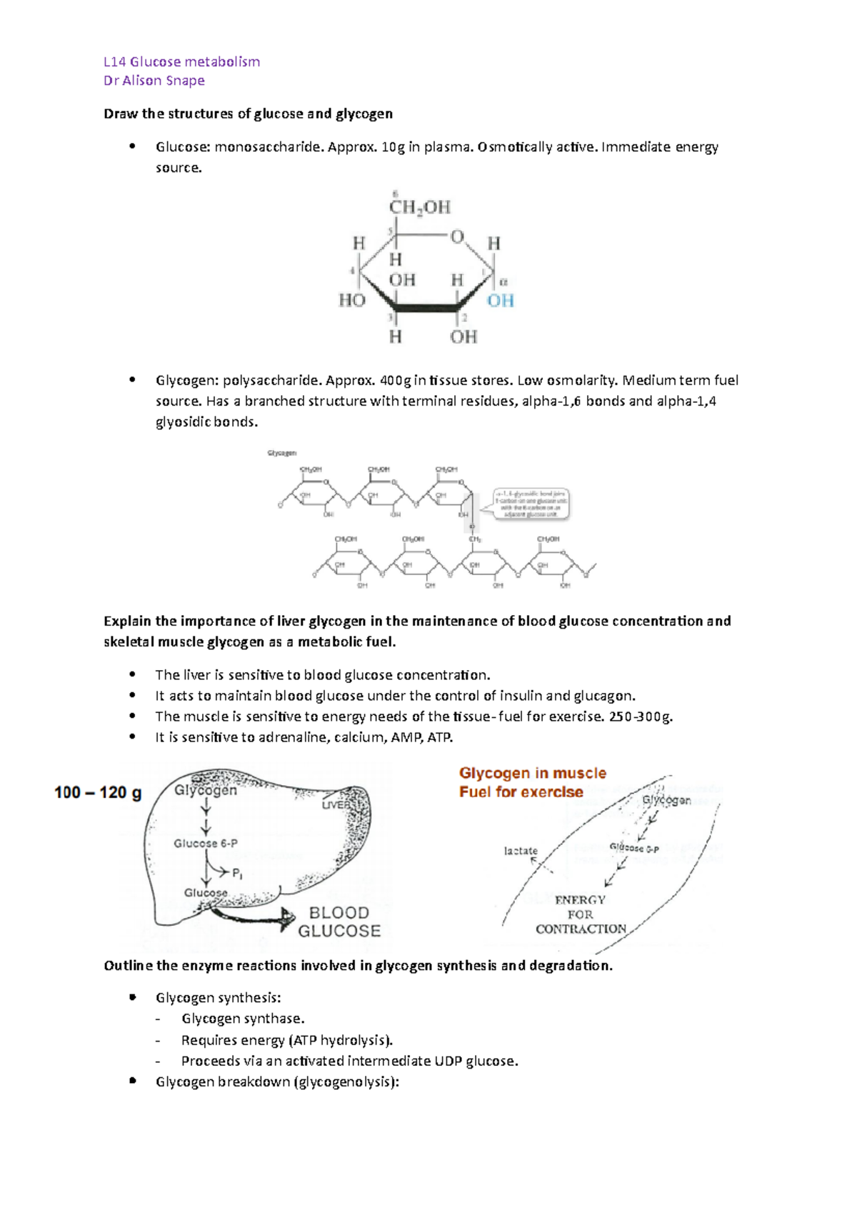 14 Glucose metabolism - Dr Alison Snape Draw the structures of glucose ...