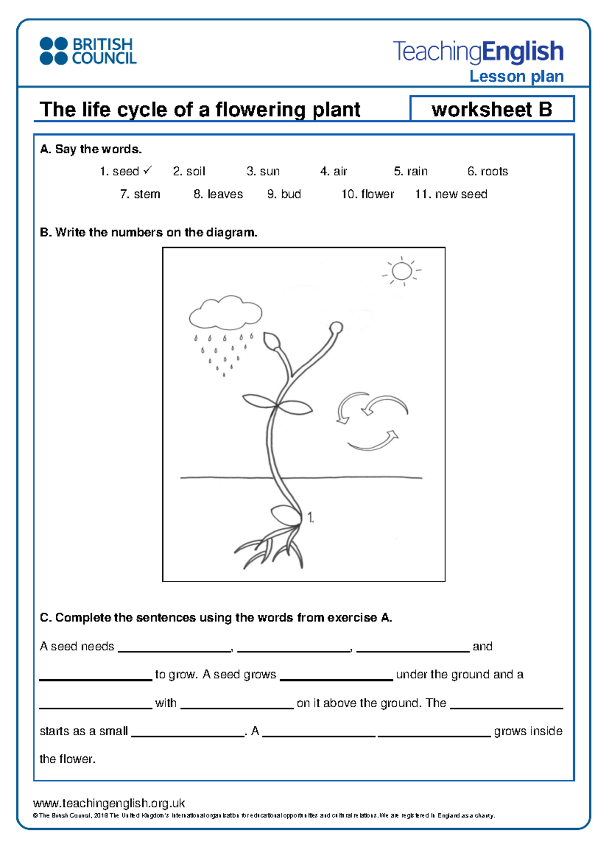 Teaching kids the life cycle of a flowering plant worksheet - Lesson ...