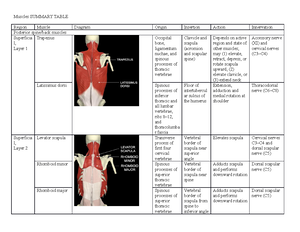 Body Cavities and Viscera Full Notes - Body Cavities and Viscera ...