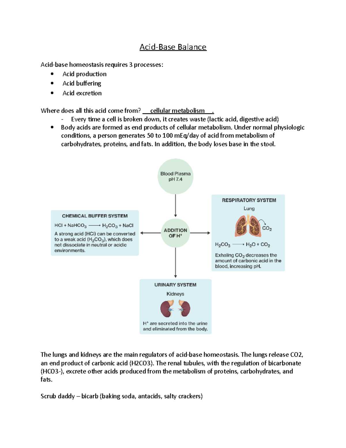 Acid Base Lecture Notes student - Acid-Base Balance Acid-base ...