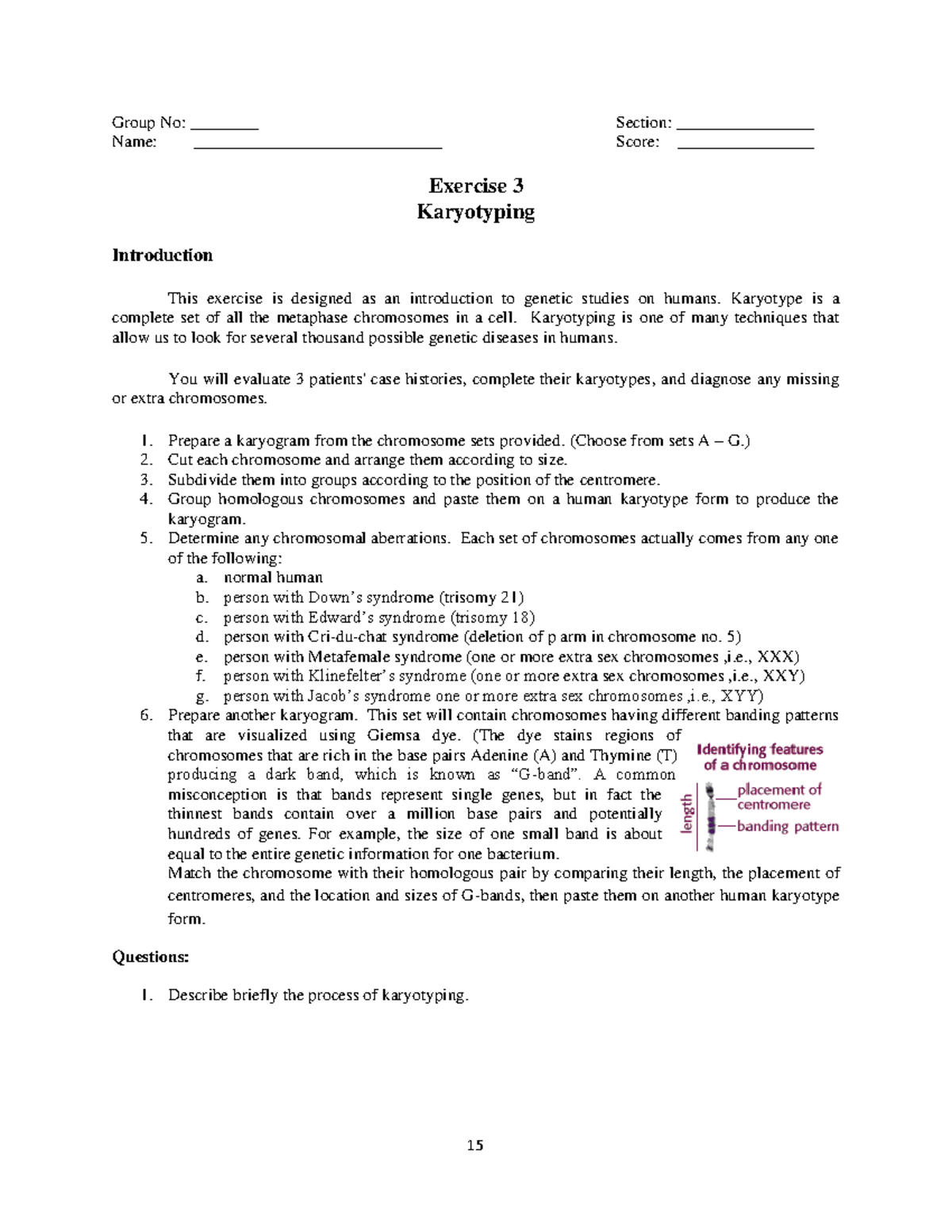 Genetics Lab Exercise 3 - Karyotyping-1 - Group No: ________ Section ...