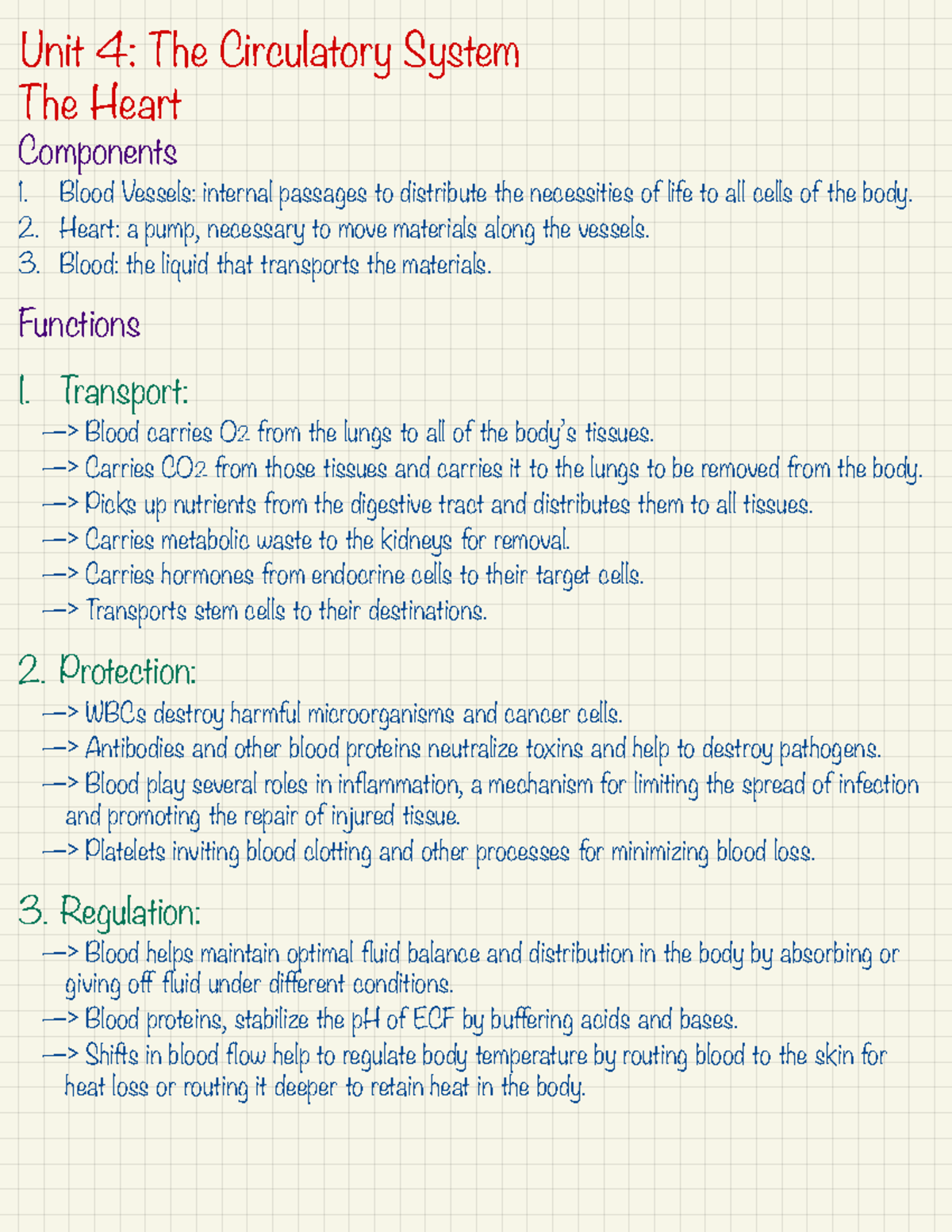 Anatomy and Physiology - Unit 4: The Circulatory System The Heart ...