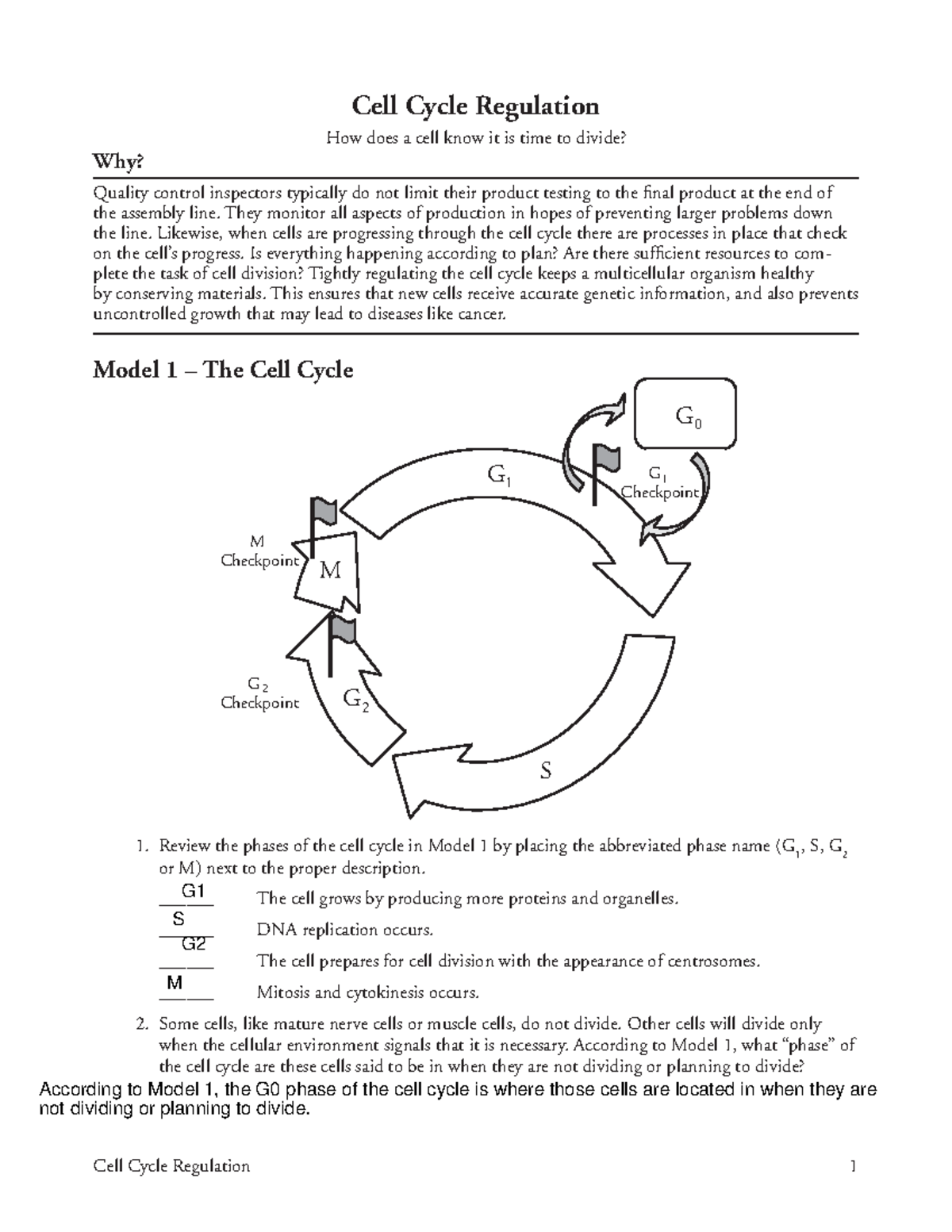 18 Cell Cycle Regulation-S - Cell Cycle Regulation 1 Cell Cycle Regulation How does a cell know ...