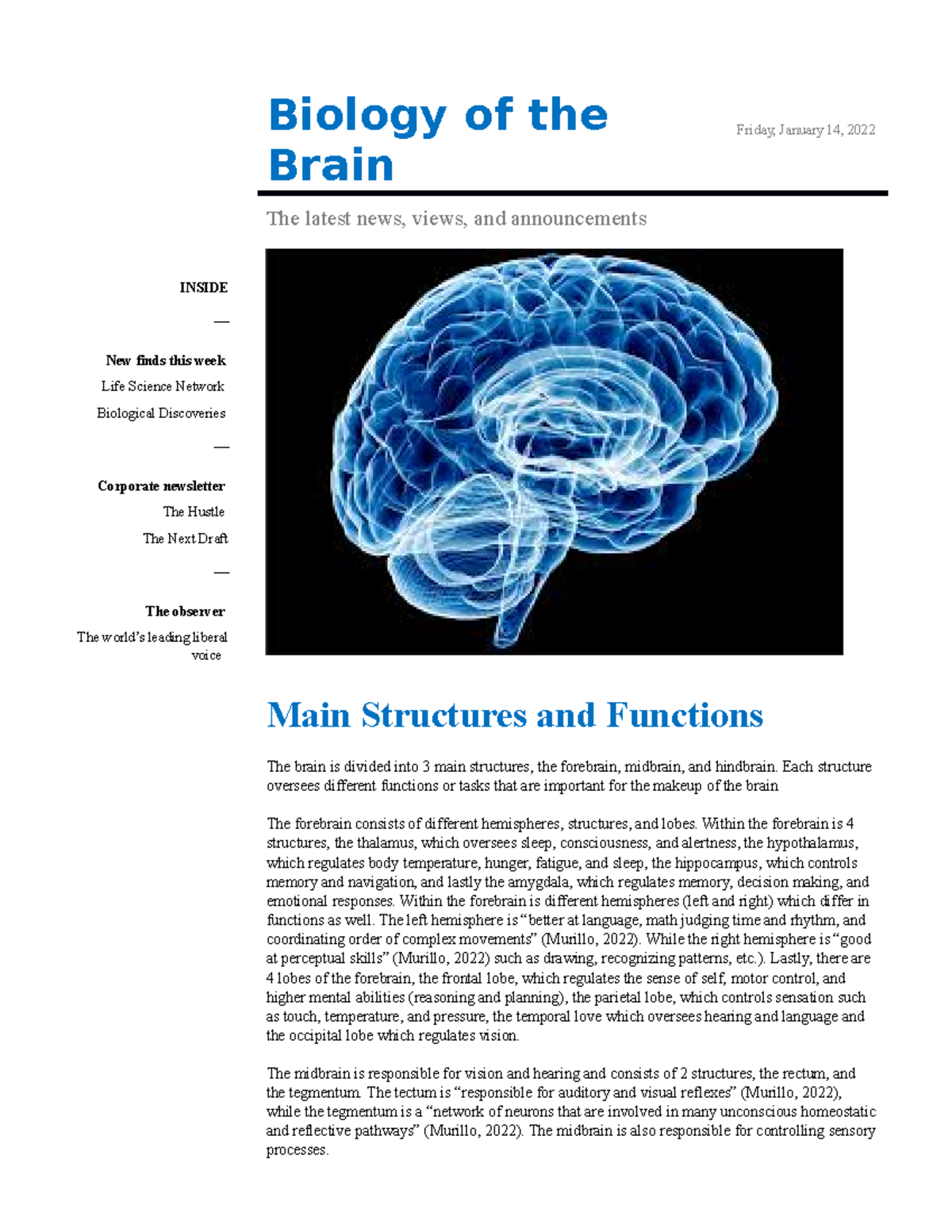 Newsletter Template with Headers - Biology of the Brain Friday, January ...