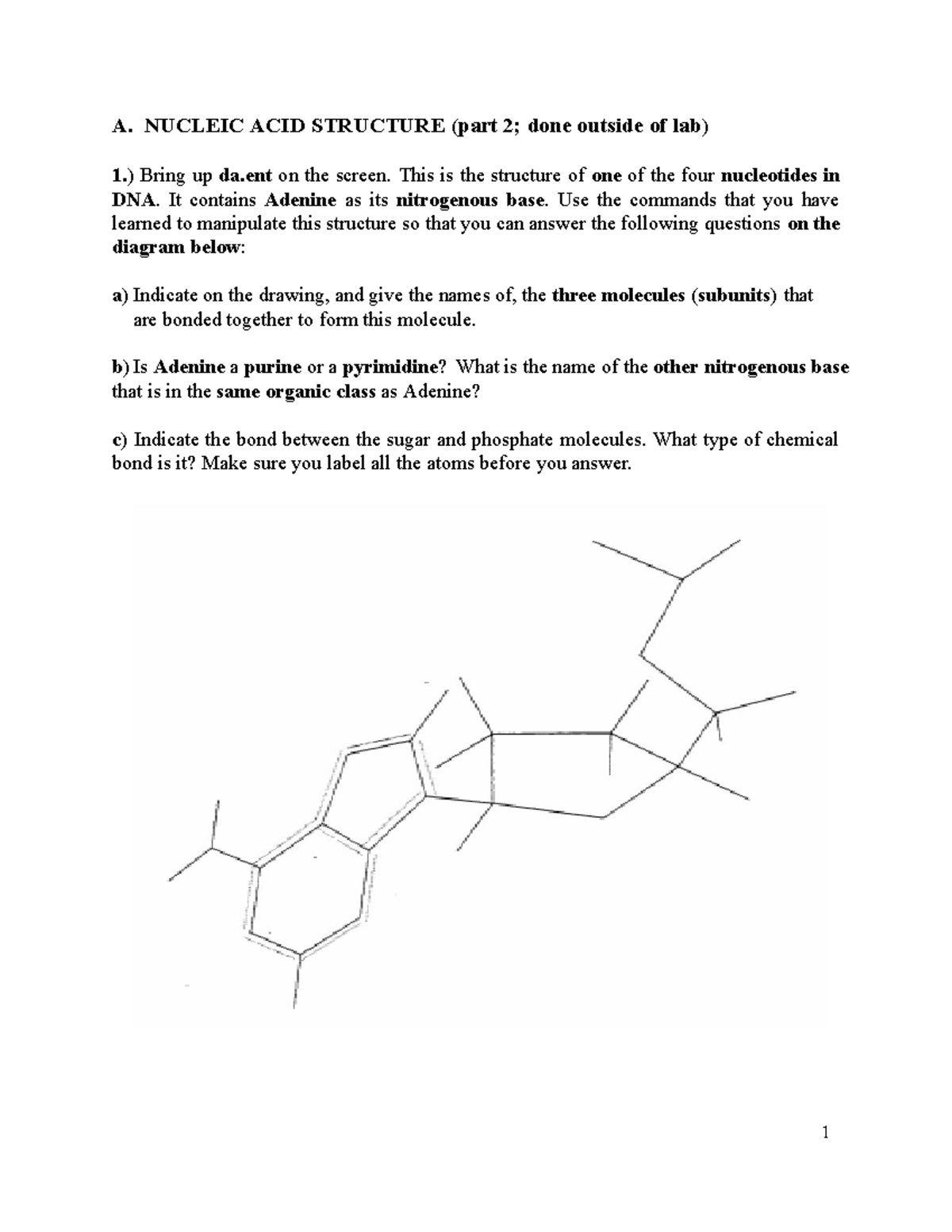 2112 lab 4 Rasmol Part 2 DNA structure - bio 2112 - Temple University ...