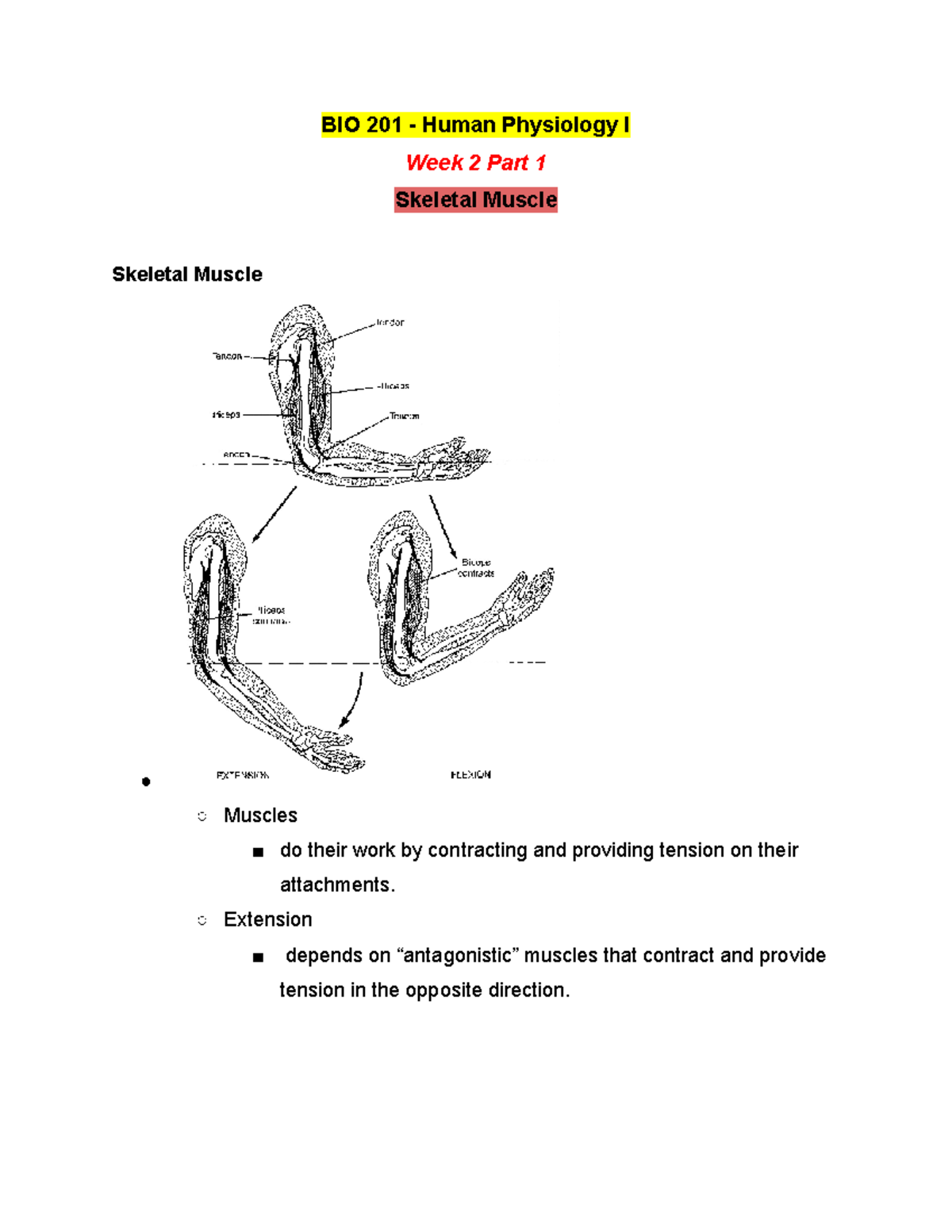 BIO 201 Lecture Notes Week 2 Part 1 - Winter 2019 - BIO 201 - Human ...