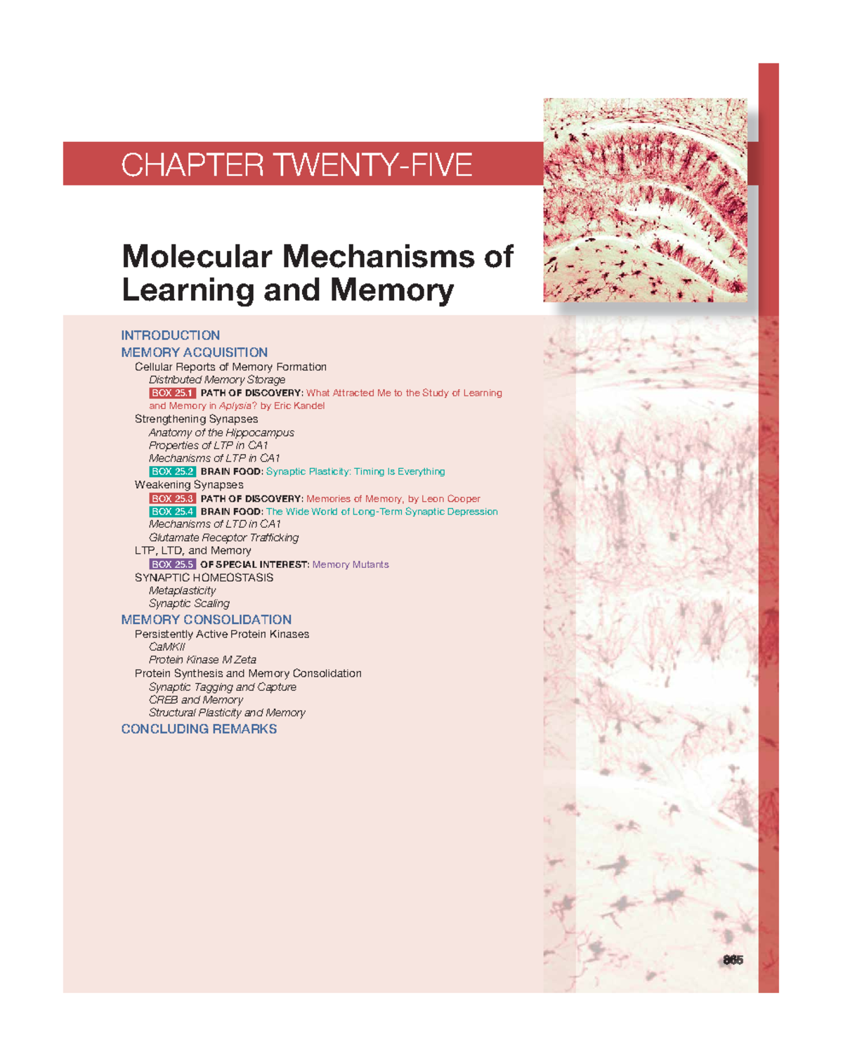 Chapter 25 Molecular Mechanisms of Learning and Memory - 865865 CHAPTER ...