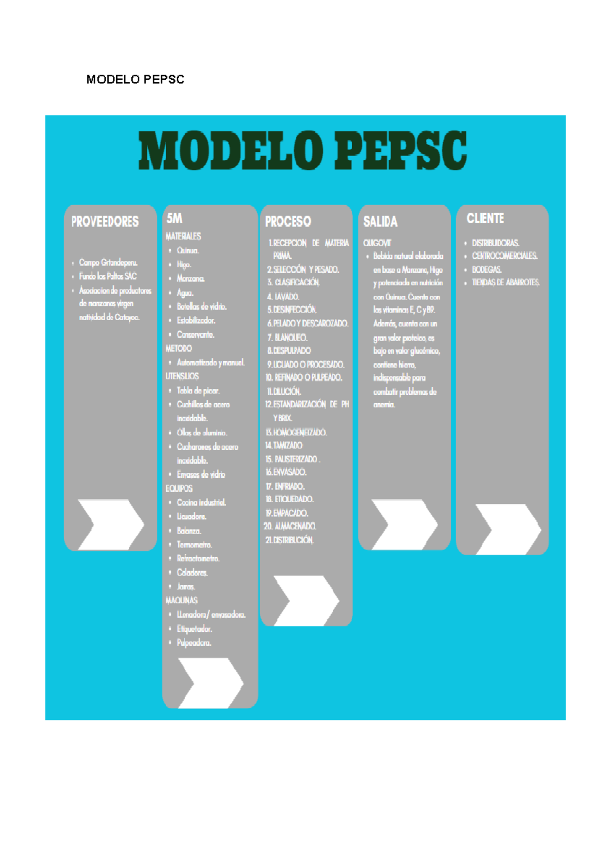 Modelo pepsc - Trabajo adjunto - MODELO PEPSC DEFINICION DEL PRODUCTO ...