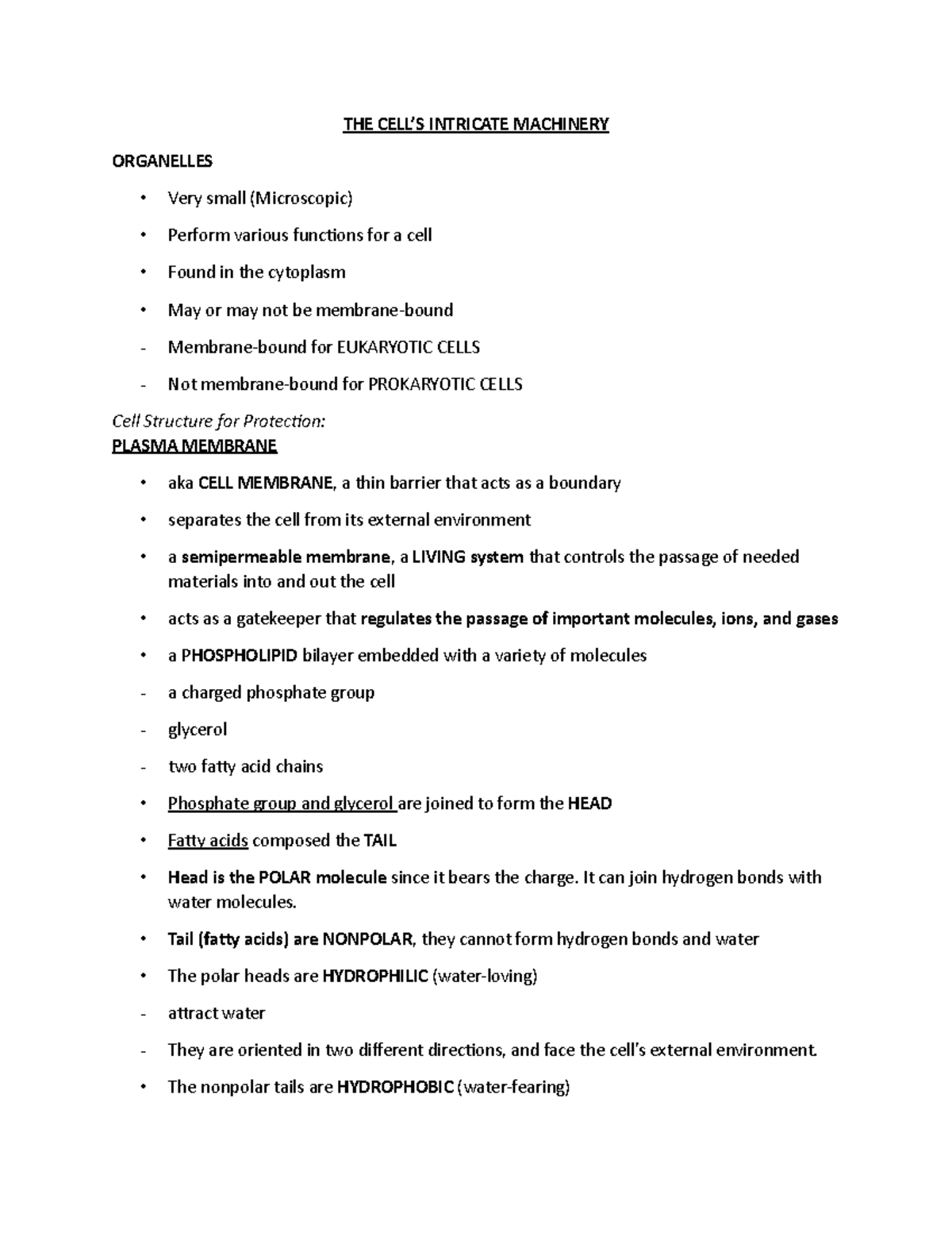 THE CELL’S Intricate Machinery - THE CELL’S INTRICATE MACHINERY ...