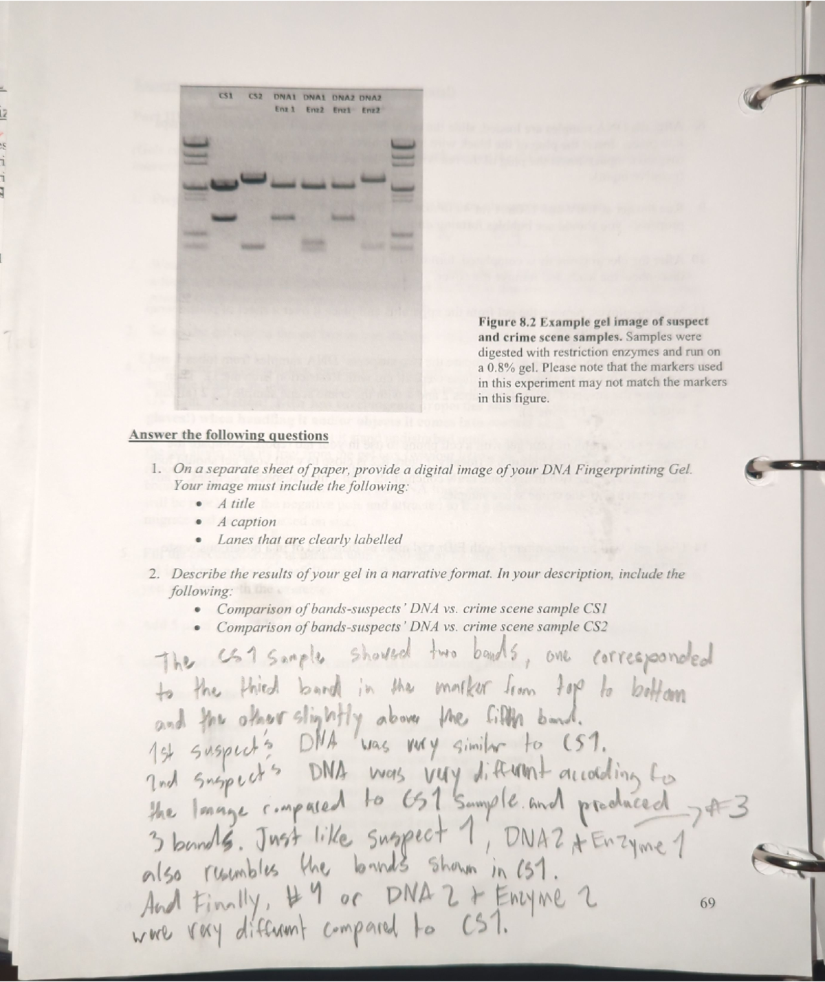Gelpart 2 - Part 2 of electrophoresis lab (DNA Replication) - BSC2010L ...