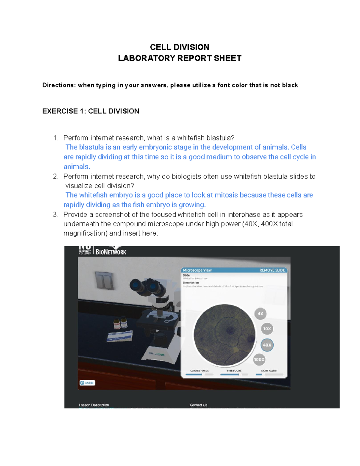 CELL Division Laboratory Report Sheet - CELL DIVISION LABORATORY REPORT ...