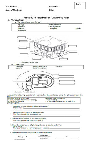 Detailed lesson plan in earth science grade 7 - DETAILED LESSON PLAN in ...