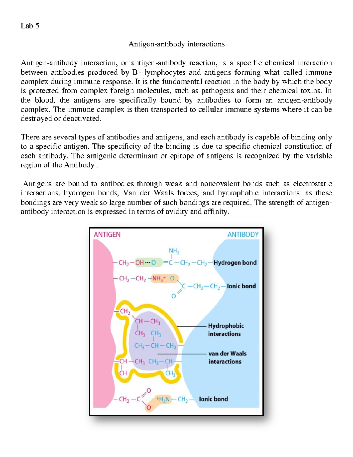 Antigen-antibody interactions - Lab 5 Antigen-antibody interactions ...