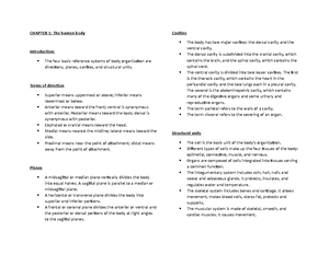 Anaphy-Chapter 8 - Summary outline of chapter 8; from Fundamentals of ...