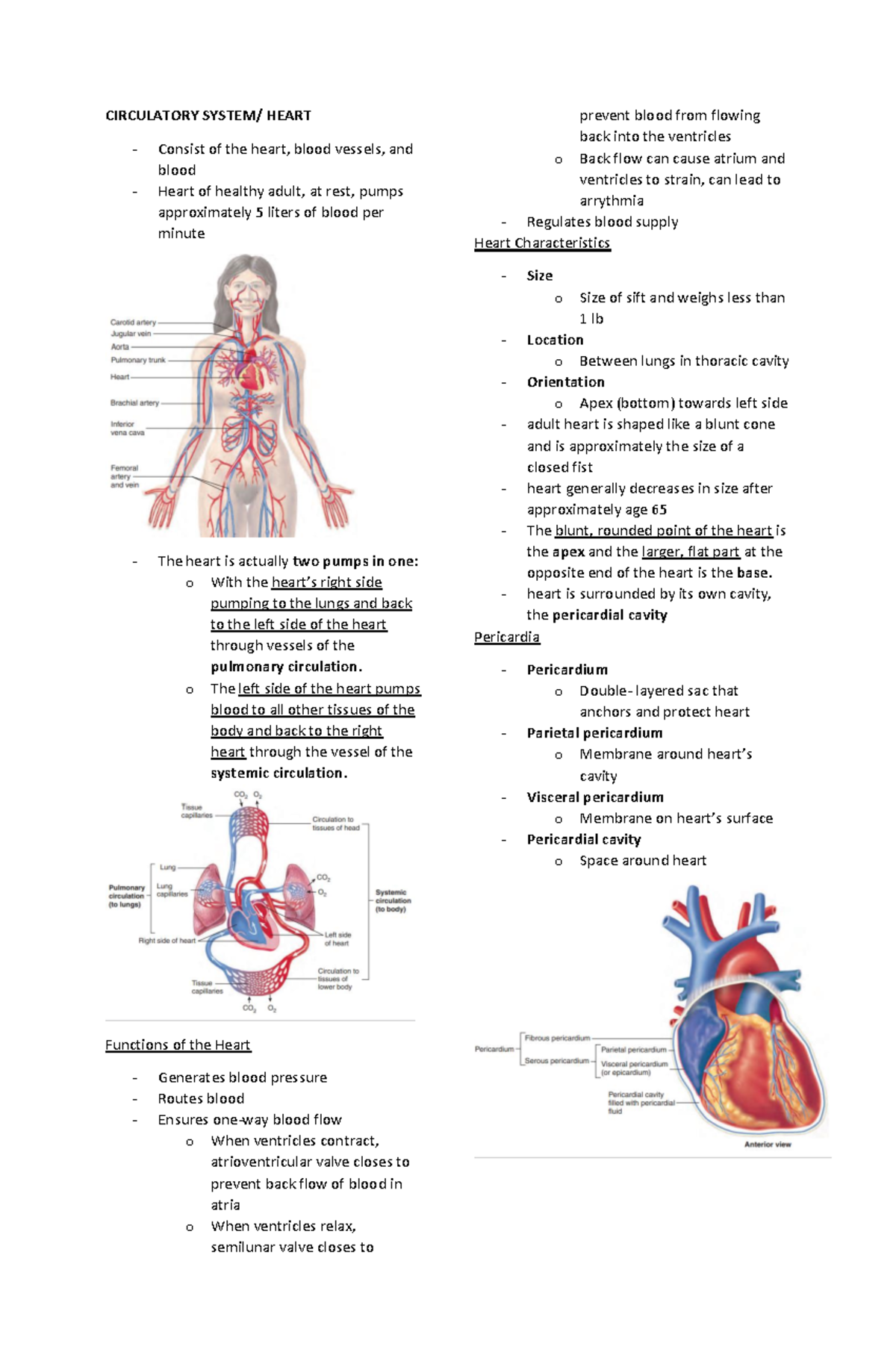 Circulatory System - ANAPHY TRANSES - CIRCULATORY SYSTEM/ HEART Consist ...