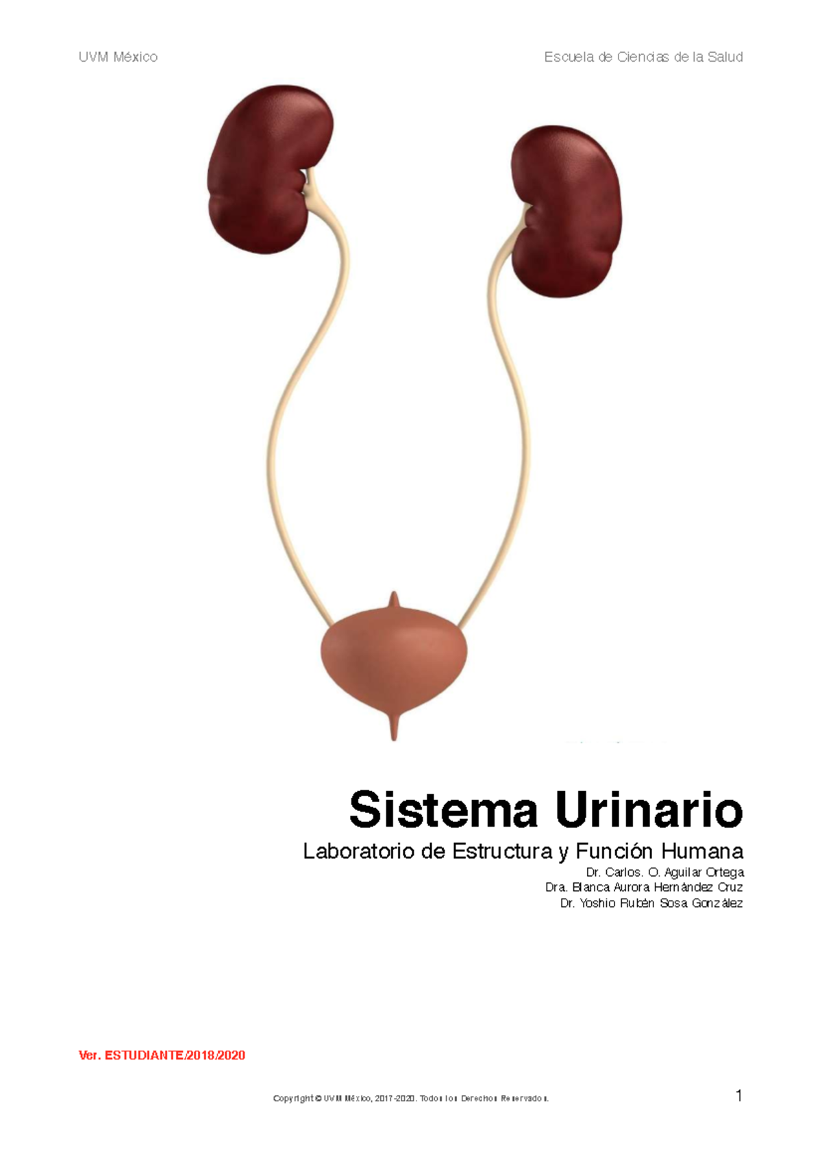 Sistema Urinario Estudiante compressed - Sistema Urinario Laboratorio ...